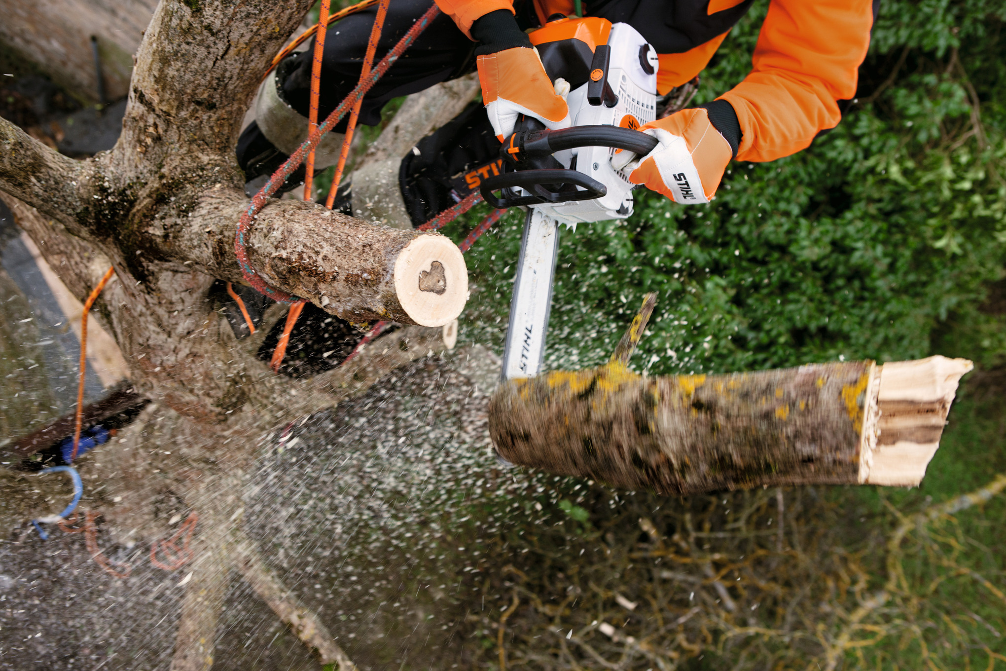 MS 201 T | STIHL