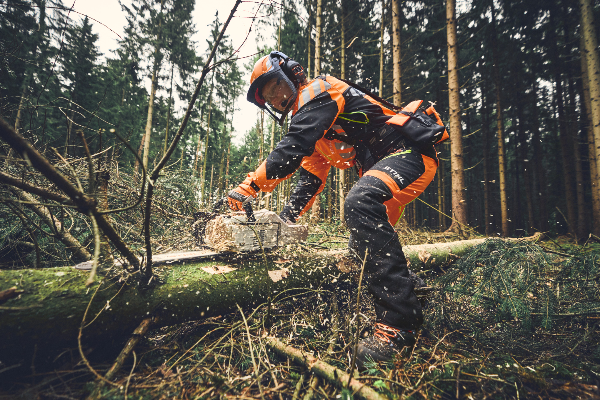 PBM bosbouw: voorschriften, bescherming, onderhoud | STIHL
